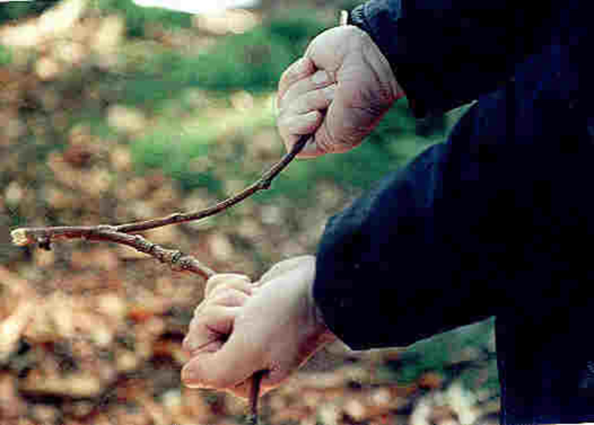 Dowsing: The Divining Rod and the Paranormal - HubPages