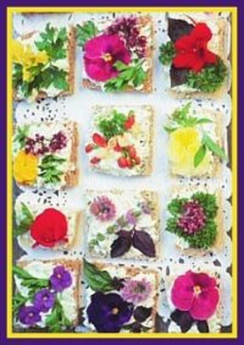 Beautiful & Delicious Pansy Flower Recipes - HubPages