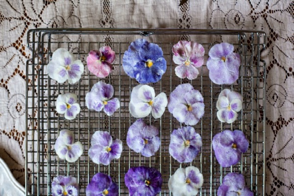 Beautiful & Delicious Pansy Flower Recipes - HubPages