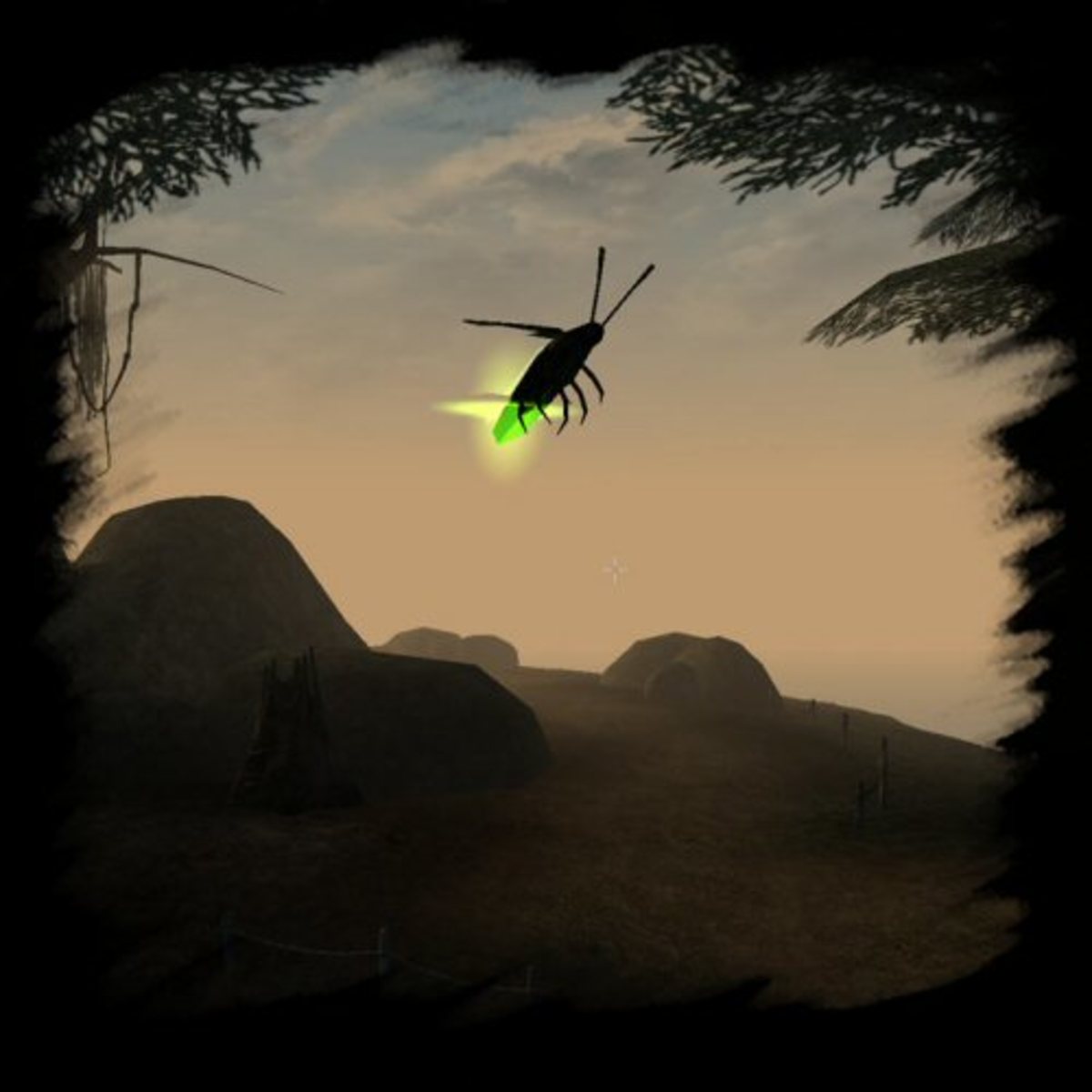 Animals that Glow : The Science of Bioluminescence - HubPages