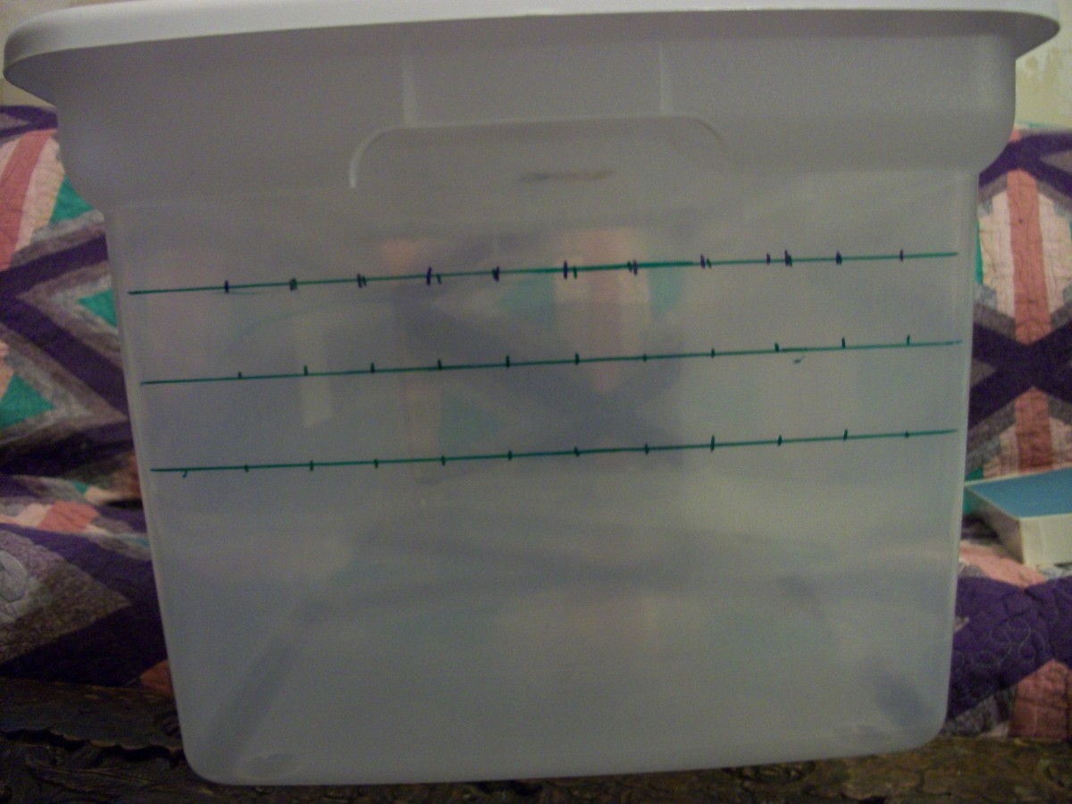 D.I.Y: How to Set Up A Tub For Your Ball Python - HubPages