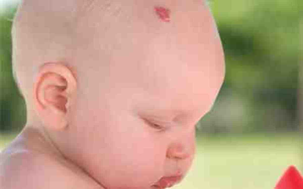 Life Before Life and True Life Tales of People Who Have Been To Heaven ...