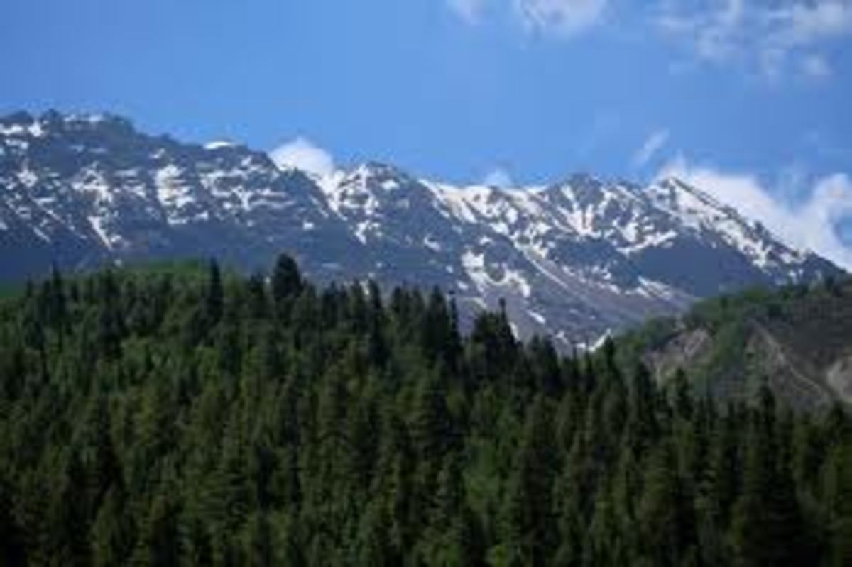 The Kinner Tribe of Kinnaur - HubPages