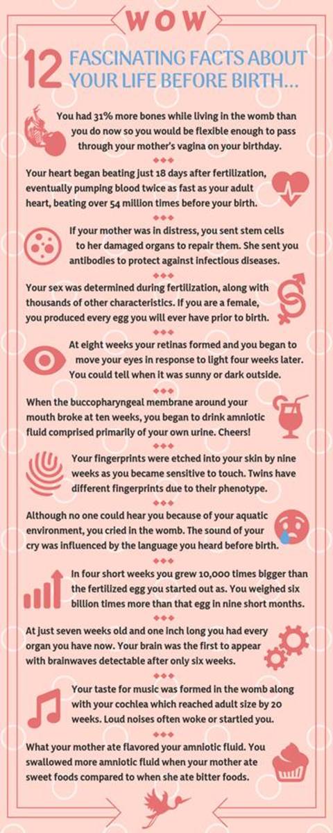 Human Baby Fetal Development STEM Lesson Plan for Middle School Biology ...