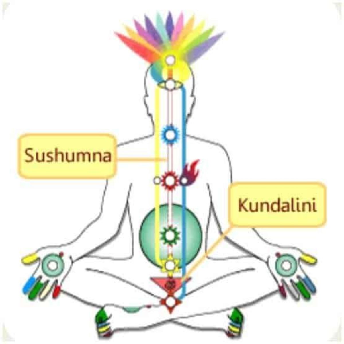 What Is the Physiology of Kundalini and Chakras and How Kundalini ...