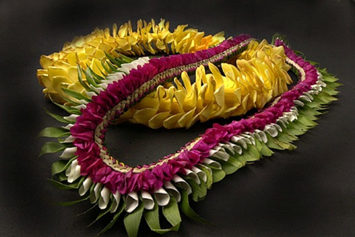 Flowers and Plants of Hawaii - HubPages
