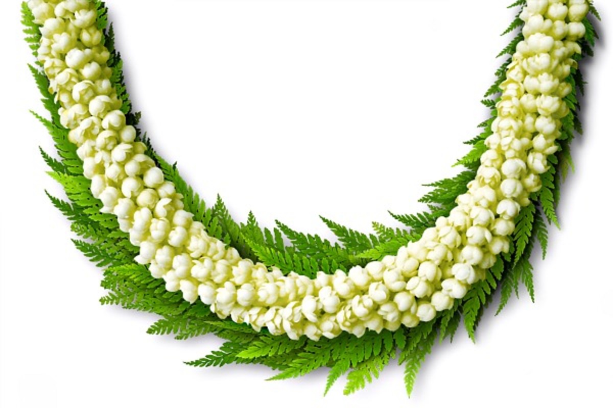 Flowers and Plants of Hawaii - HubPages