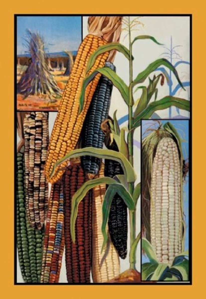 Five Kernels of Corn Story - HubPages