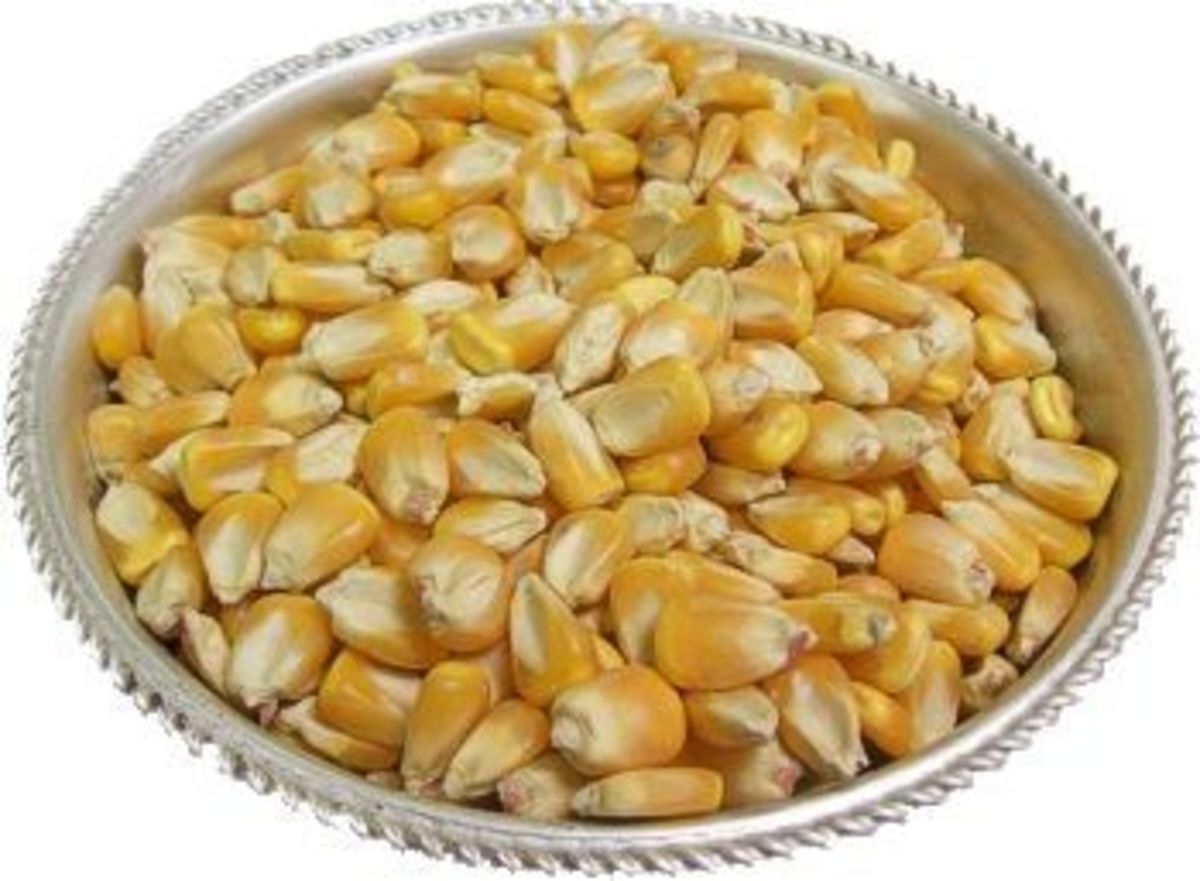 Five Kernels of Corn Story - HubPages