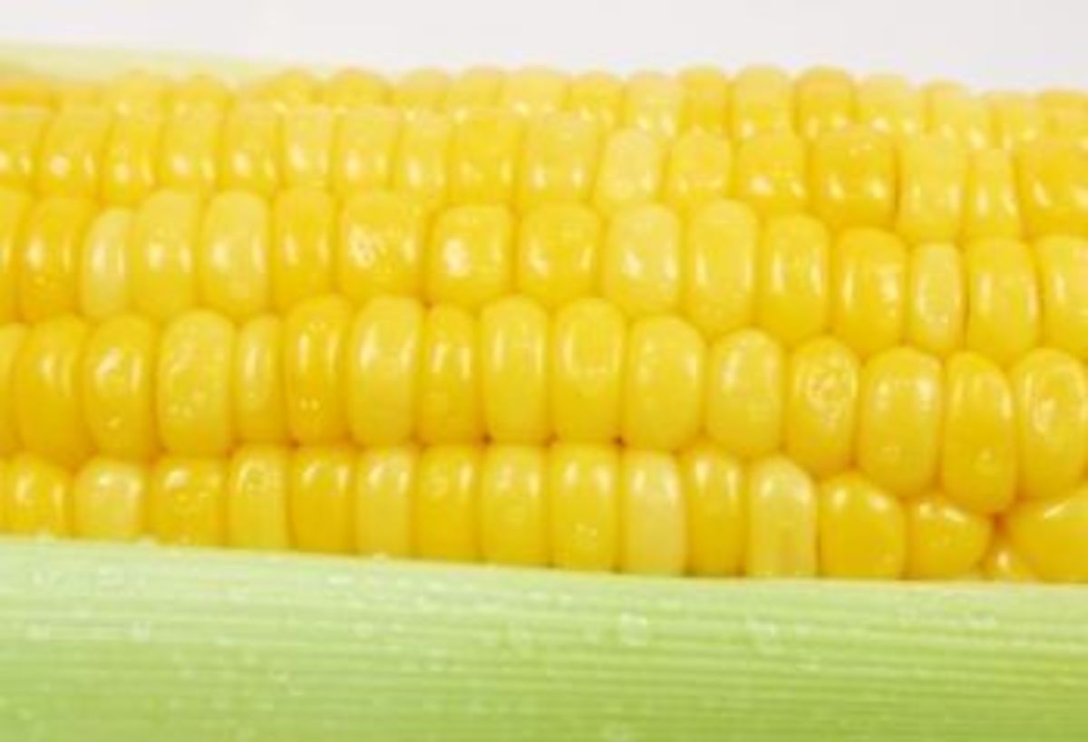 Five Kernels of Corn Story - HubPages