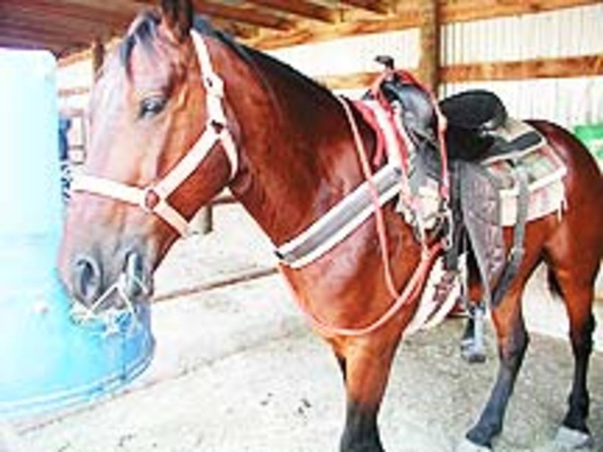 Things to do at Lake Belton Temple TX Marinas, Boating, Camping ...