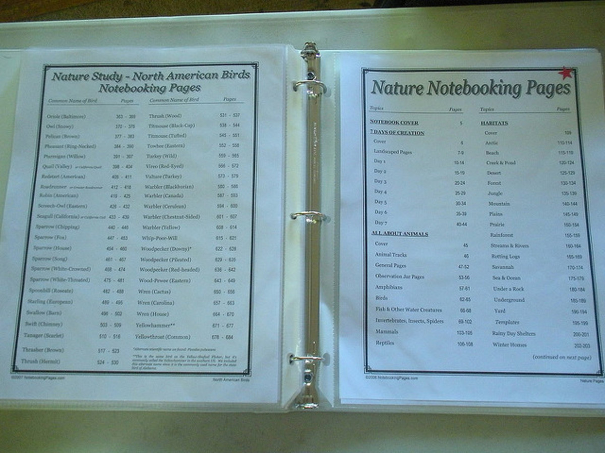 Notebooking for High Schoolers - HubPages