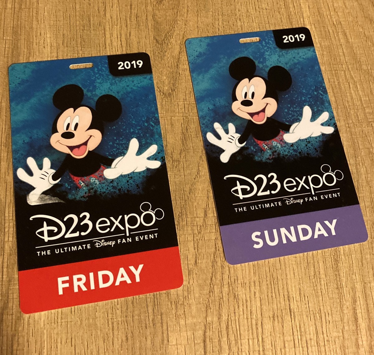 Top 3 Tips for a Successful First D23 Expo Experience - HobbyLark