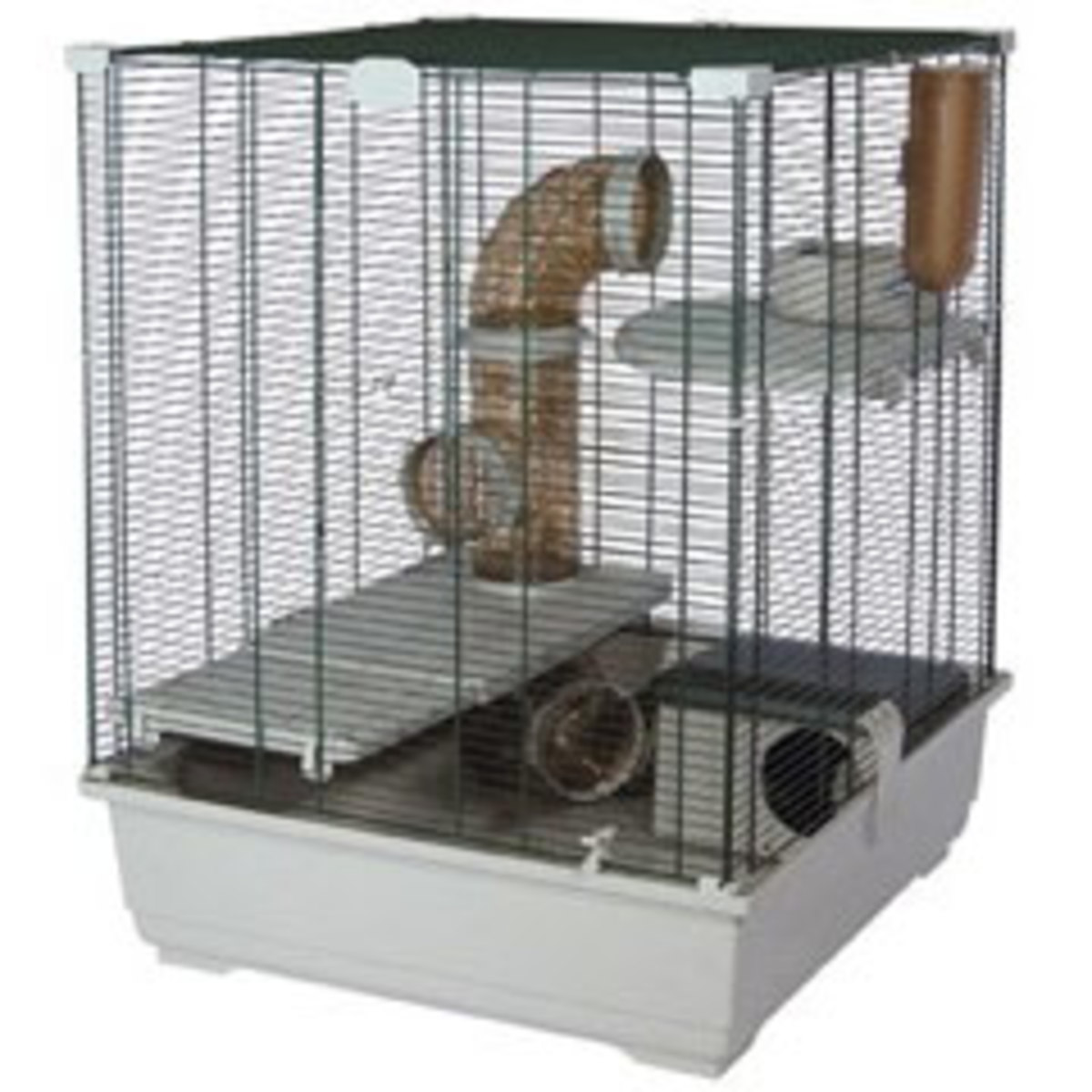 Rats In The House : Keeping Fancy Rats - HubPages