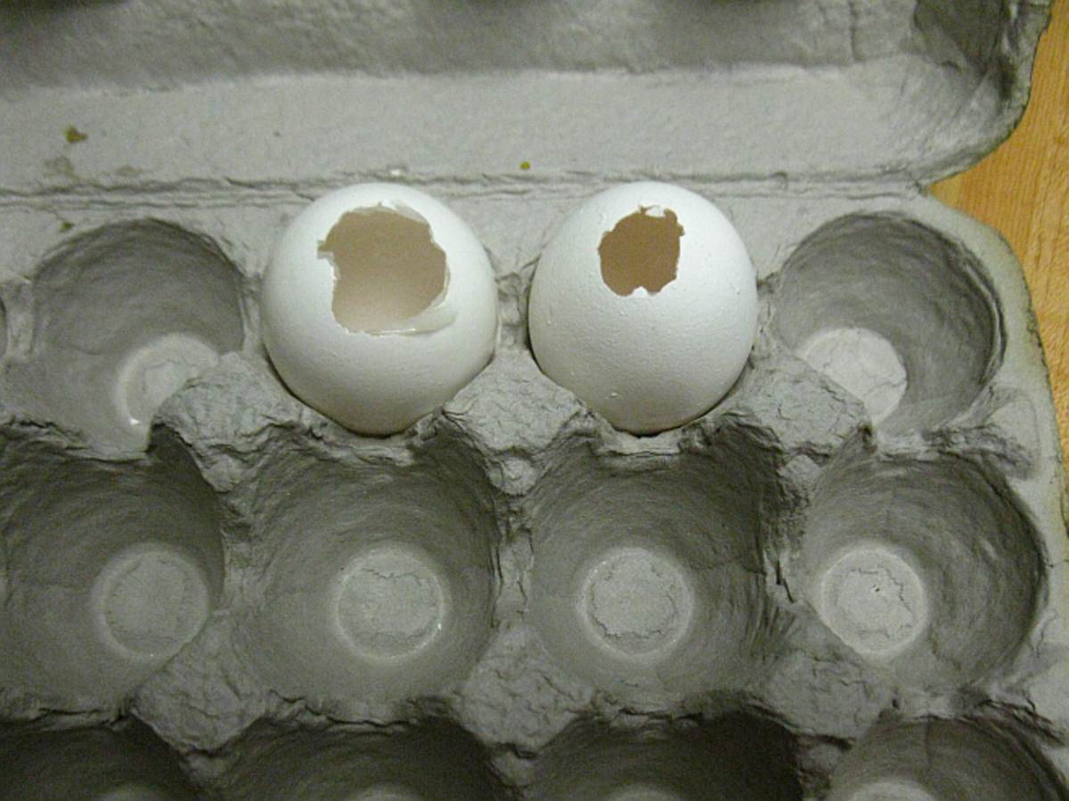 How to Make a Candle Using an Eggshell for a Mold - HubPages