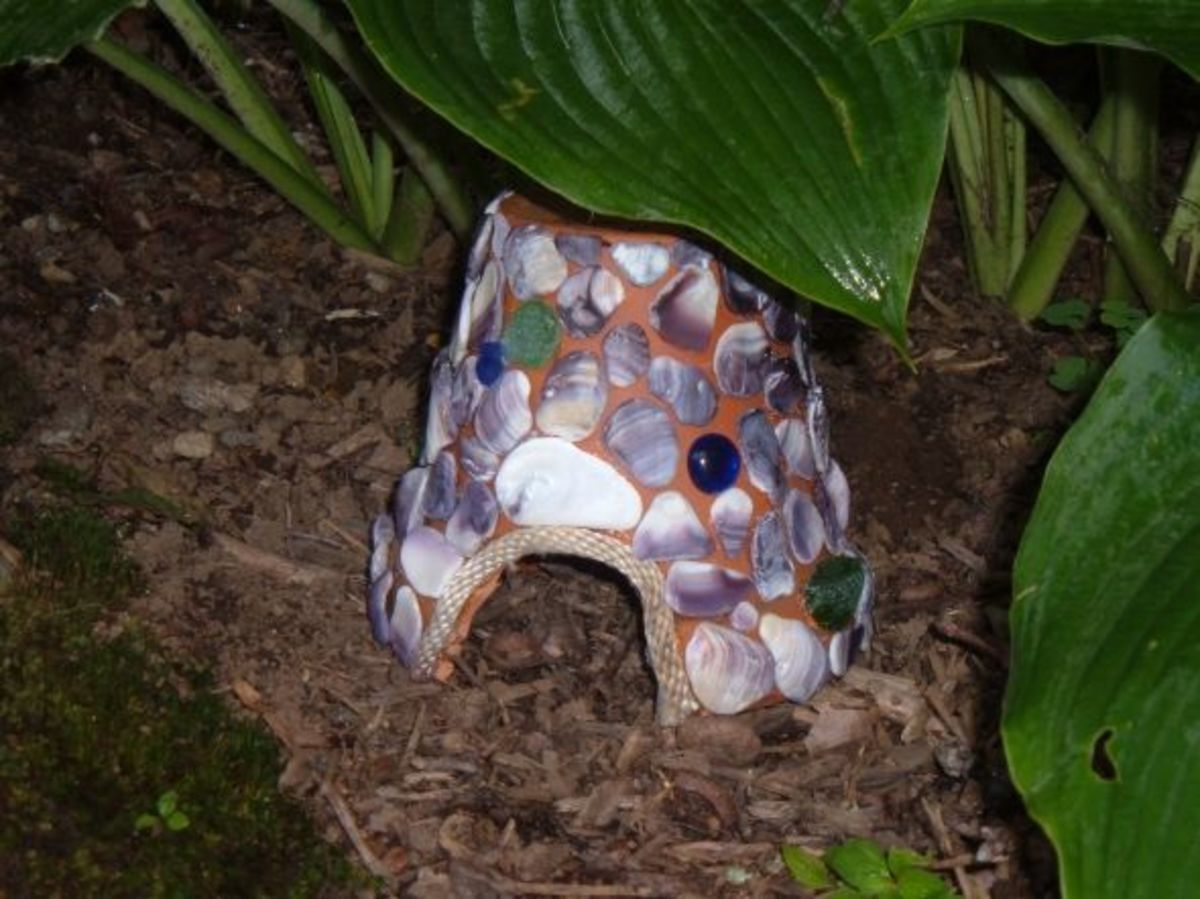 What is Wampum? Searching for Wampum Shells - HubPages