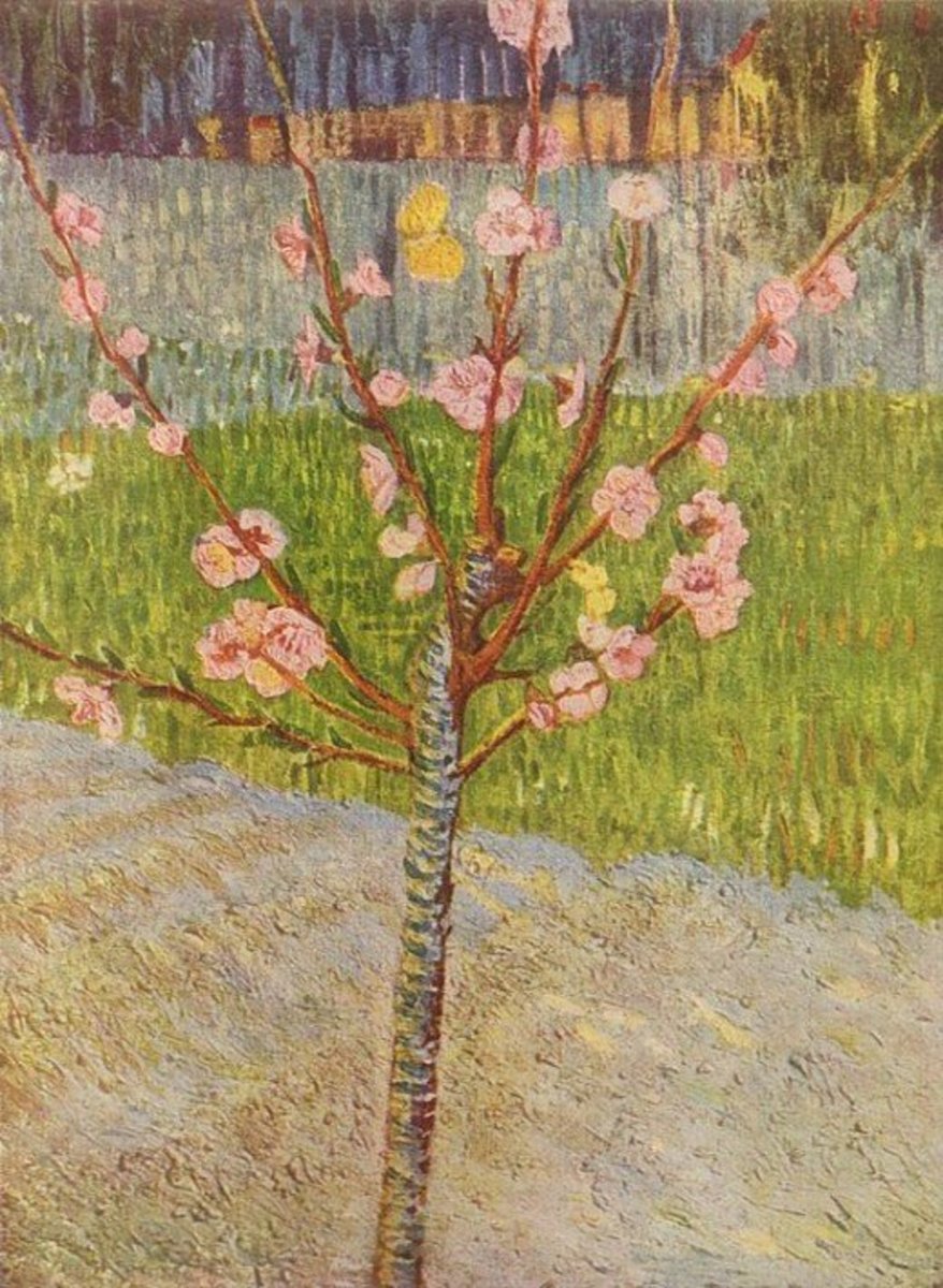 SPRING POEMS: 60 Best Spring Poems and Spring Poems for Kids - HubPages