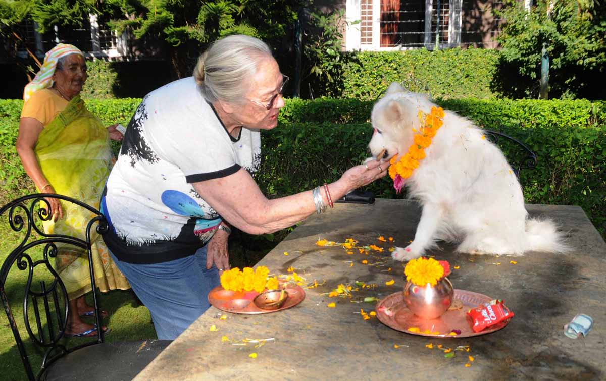 Kukur Tihar Festival: The Hindu Tradition of Dog Worship in Nepal ...