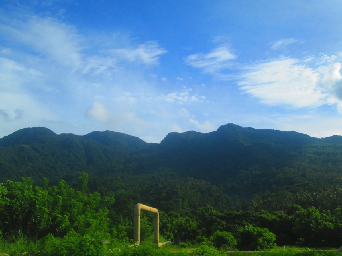 The Lovelorn Enchantress Maria Makiling (Mountain Goddesses of the ...