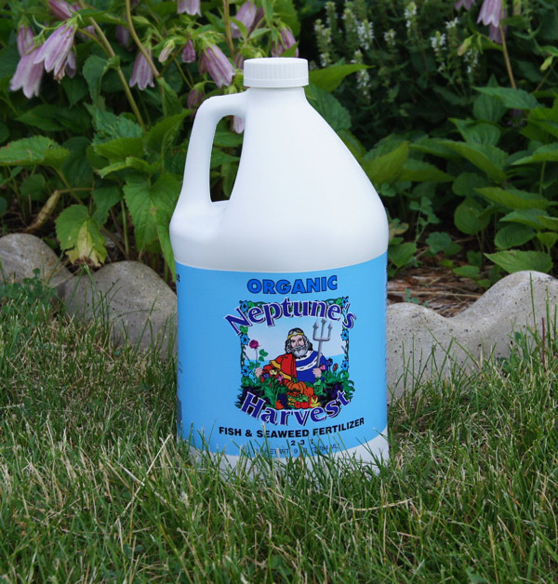 11 Benefits of Seaweed Fertilizers and How to Use It - HubPages