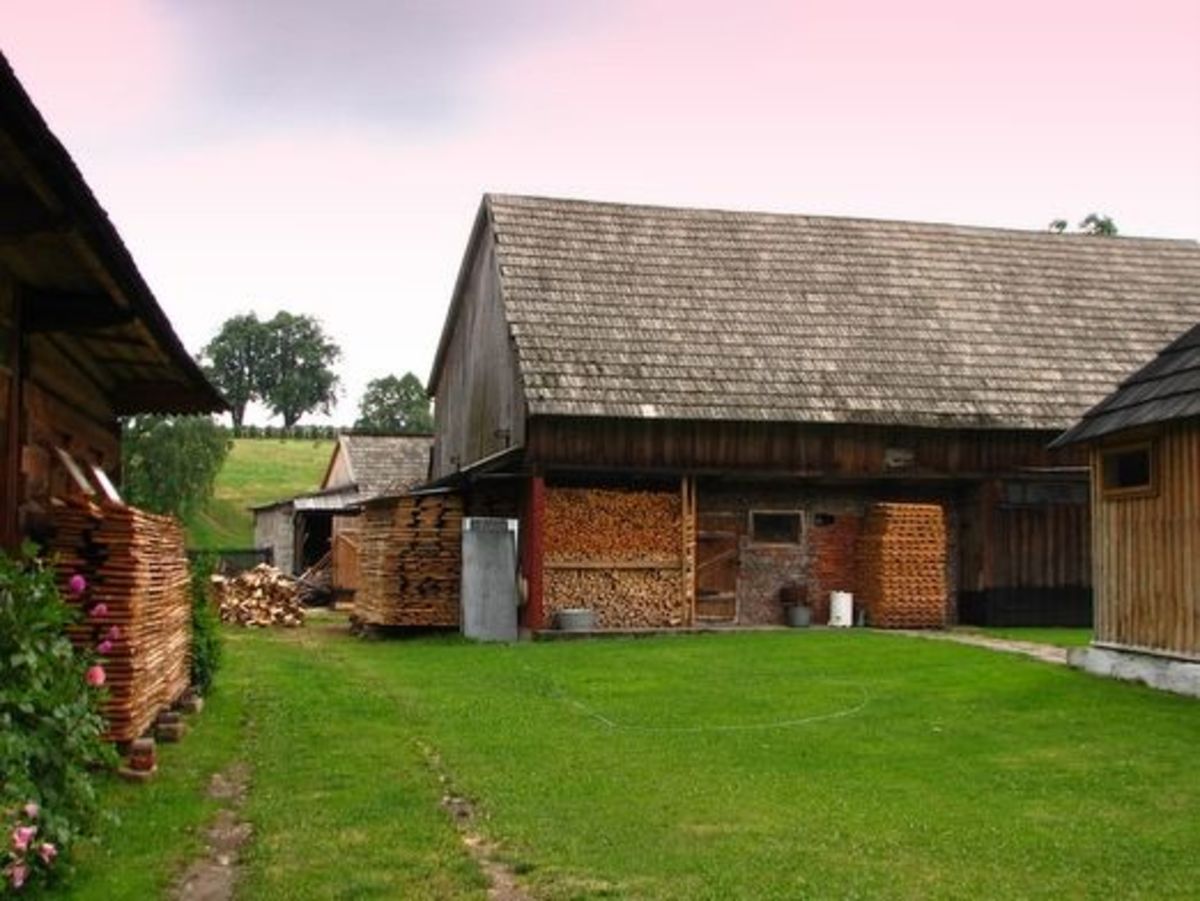 Polish Culture: Beyond Pierogi and Cabbage - HubPages