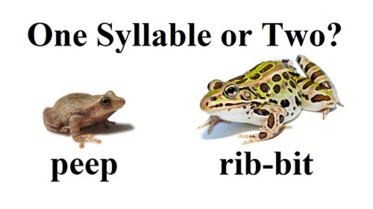 Frog Unit Study: Hopping to Learn - HubPages