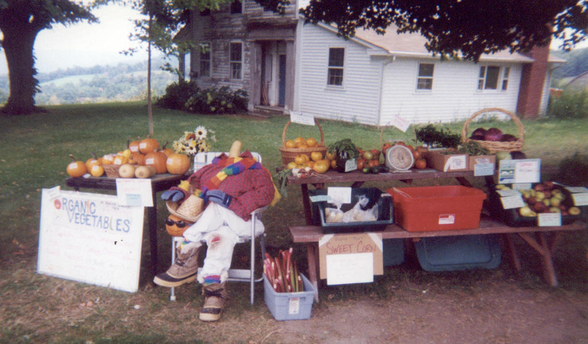 Ideas For Your Farmers Market Booth Or Vegetable Stand - HubPages