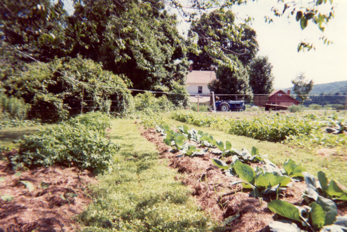Ideas For Your Farmers Market Booth Or Vegetable Stand - HubPages