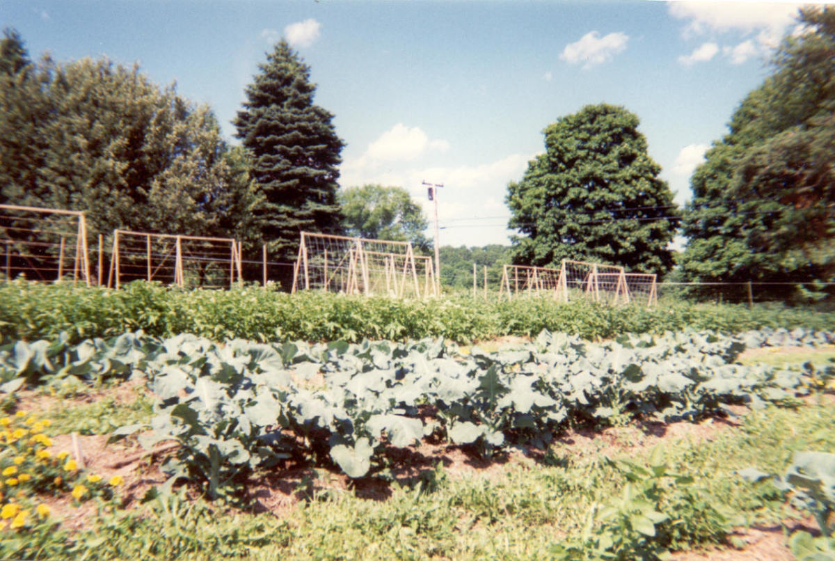 Ideas For Your Farmers Market Booth Or Vegetable Stand - HubPages