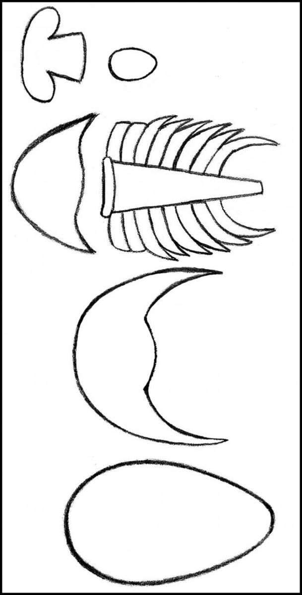 How to Make a Fondant Trilobite - HubPages