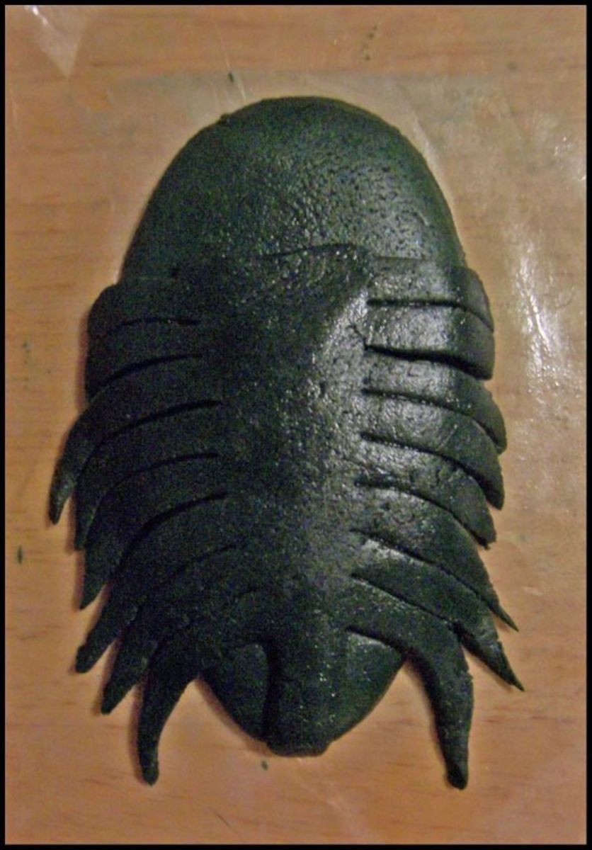 How to Make a Fondant Trilobite - HubPages