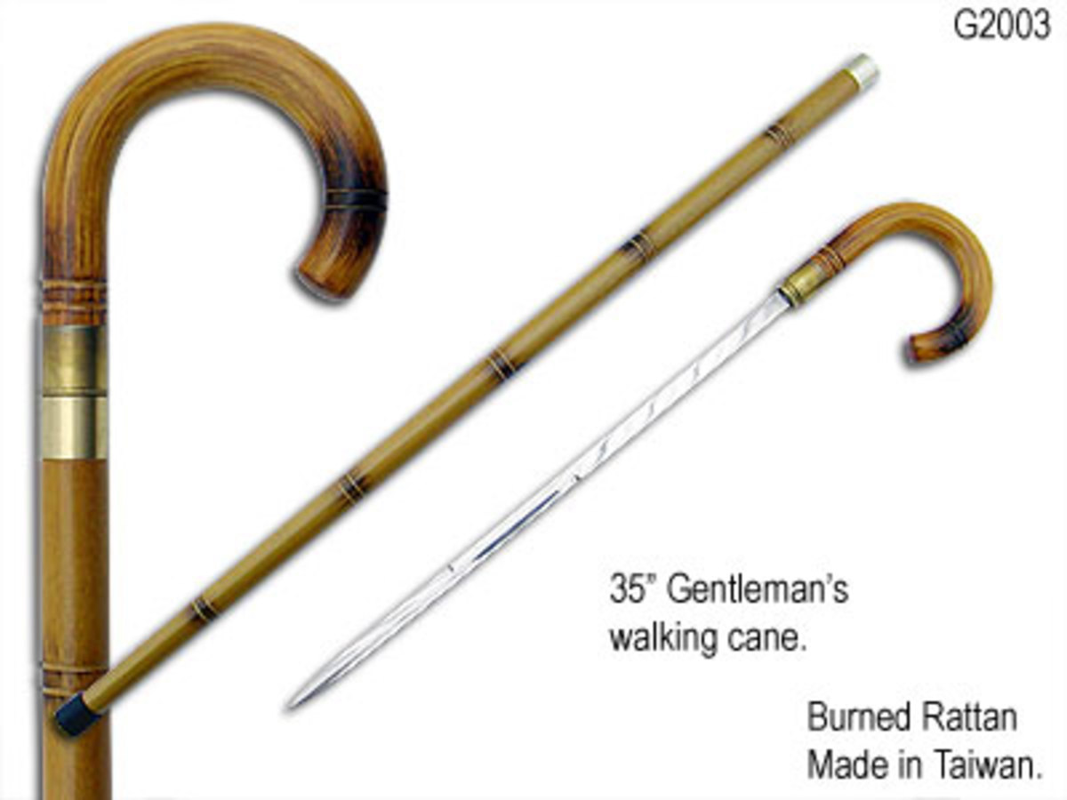 Mobility Aids 101: Walking Aids, Cane, Crutches, Walkers, Wheelchairs ...