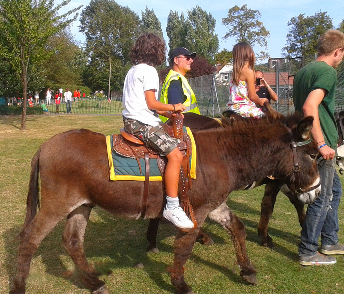 English Proverbs and Sayings About Animals - the Horse Family(Equines ...