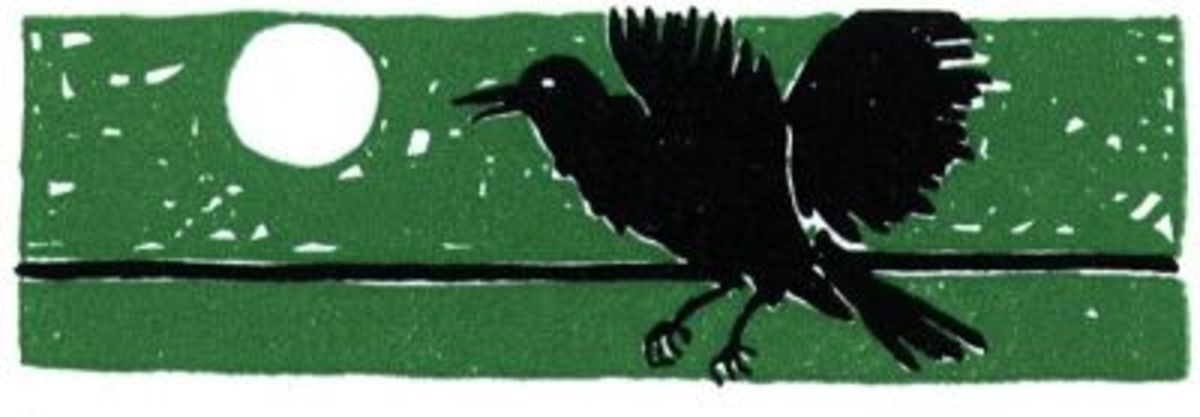 Raven Symbolism, Lore & Mythology - HubPages