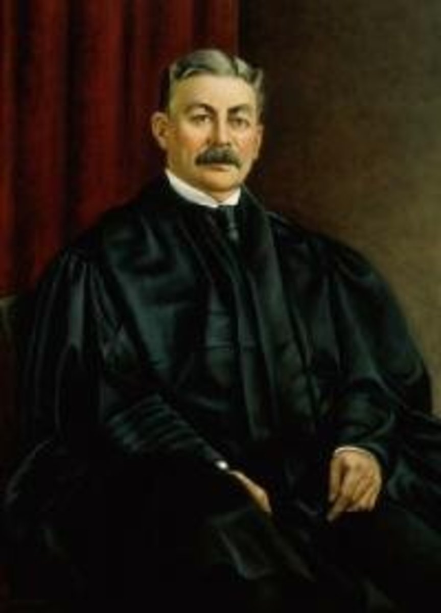 The Constitution on Plessy Vs Ferguson: Details and Political Cartoons ...