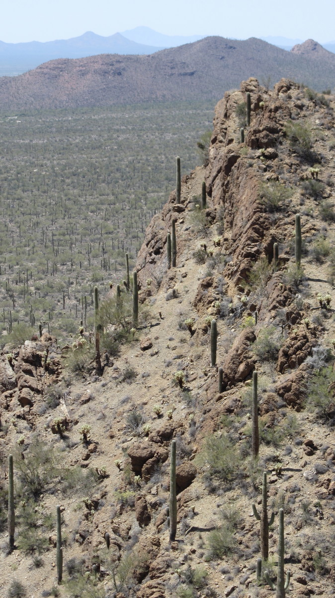 Visiting Tucson, Arizona? Check These Places Out - HubPages