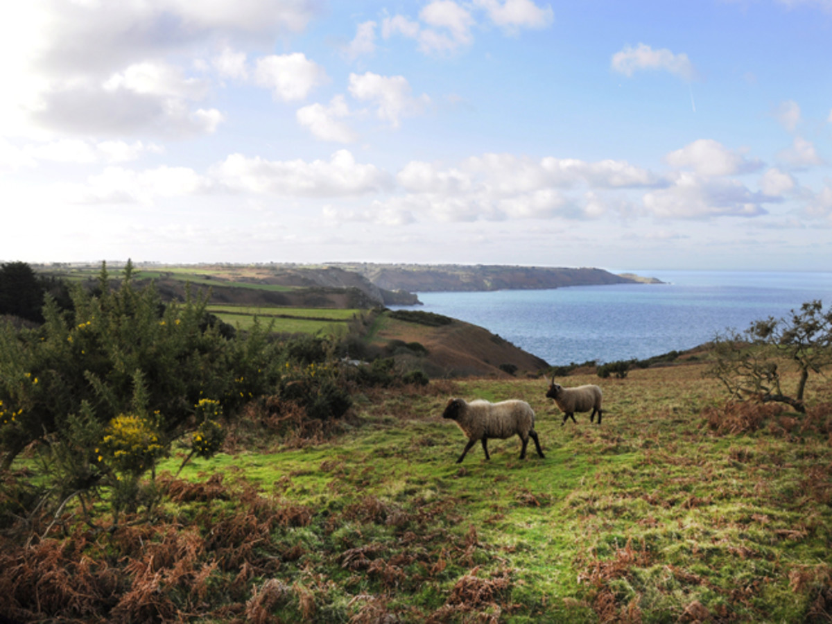 Viking - 29: The Saga of Man, Manx Crosses and the Kings of Man - HubPages