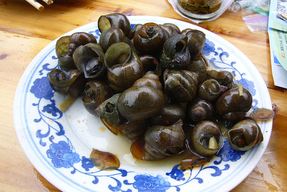 Sustainable Seafood: Have You Tasted Whelks? - HubPages