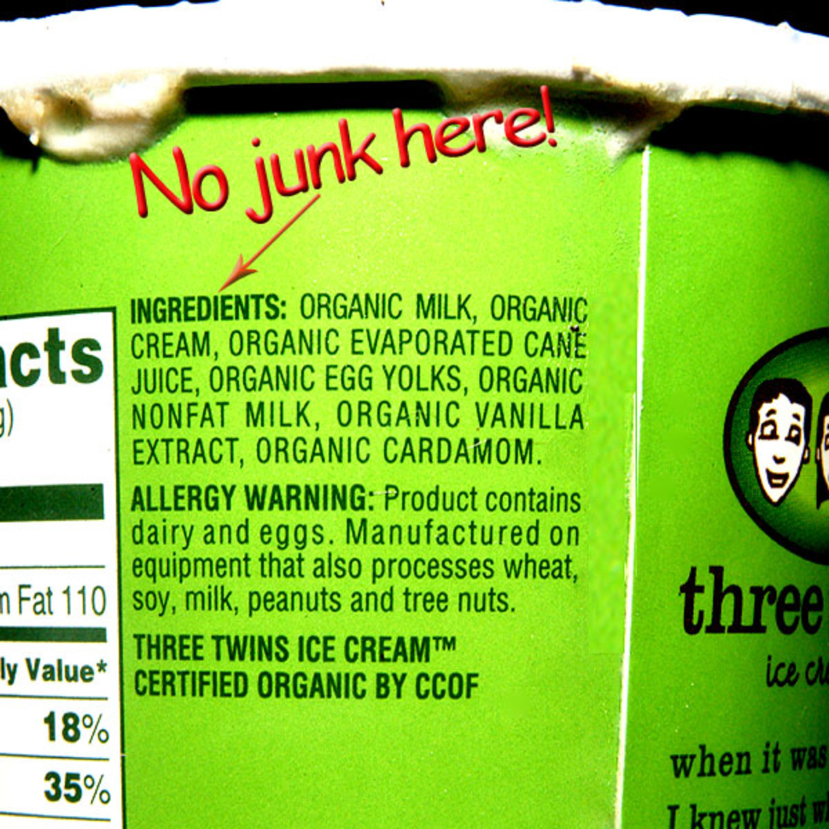 Sustainably Produced And Organic, Three Twins Ice Cream™ - HubPages