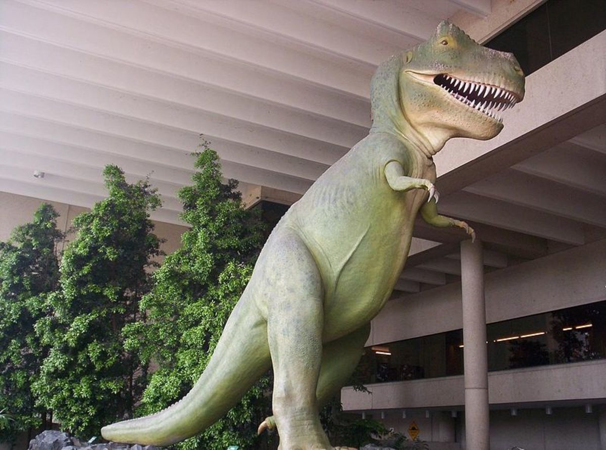 How To Identify & Find Dinosaur Fossils - HubPages