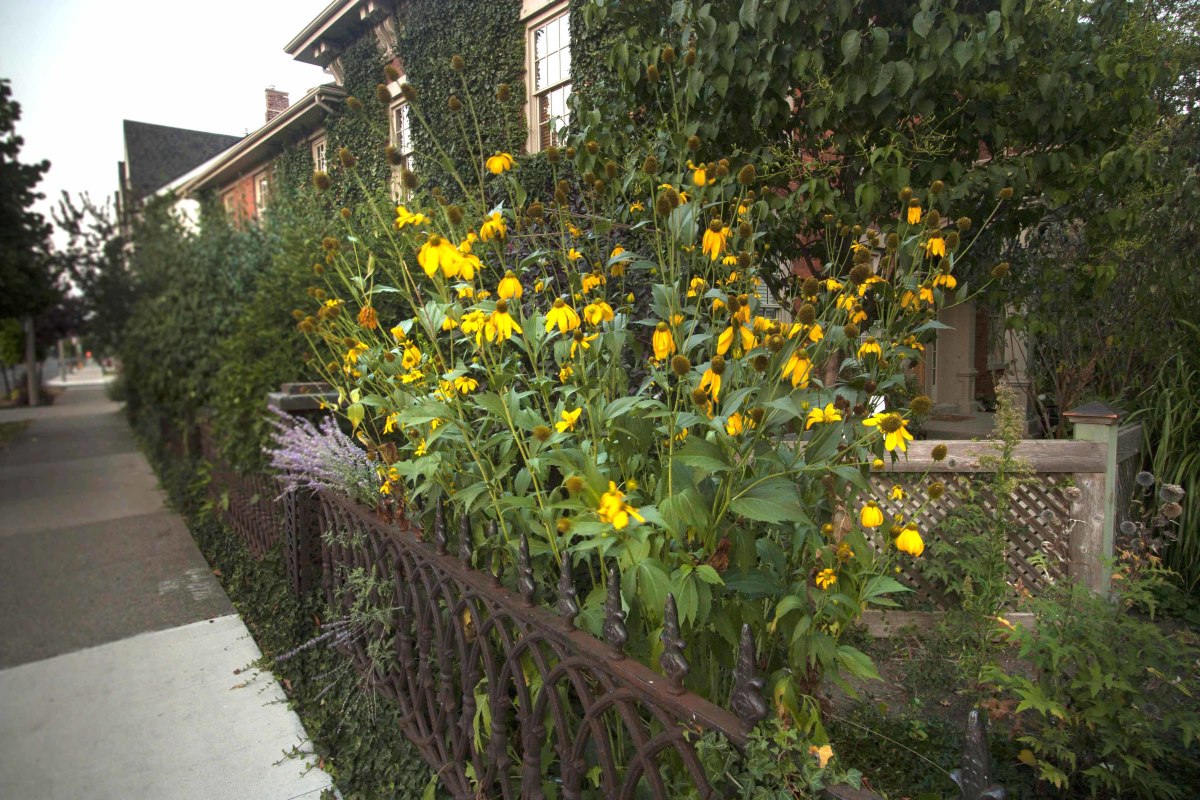 12 Rules of Composition in Photography: Depth of Field - HubPages