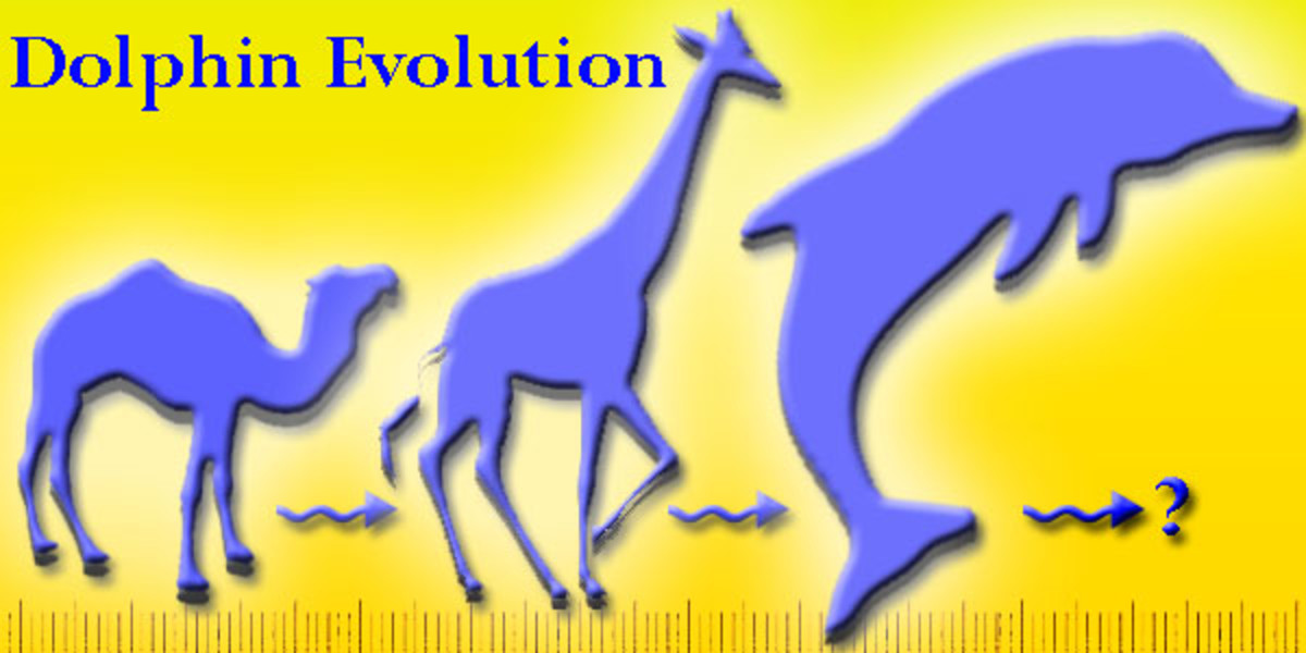 25 Strange Animal Facts - HubPages