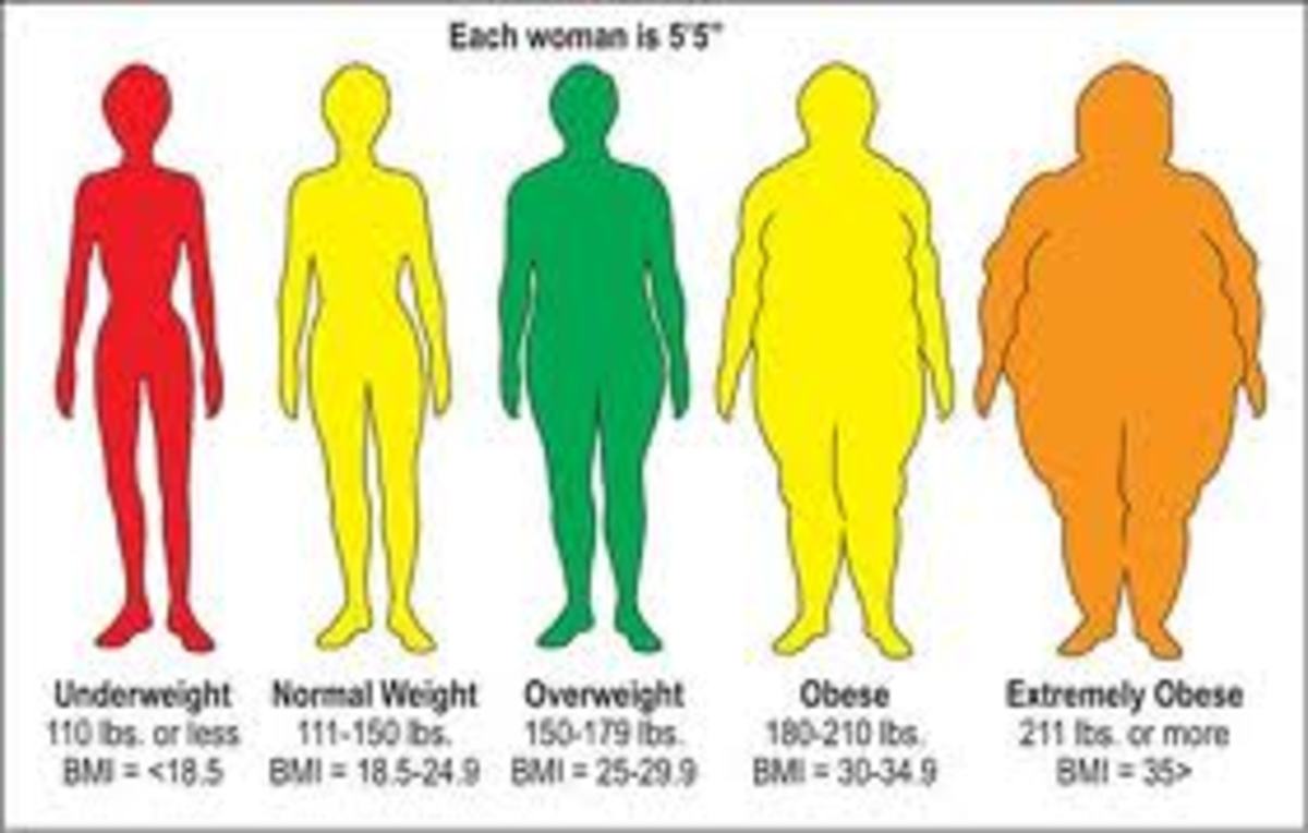 Obesity Chart