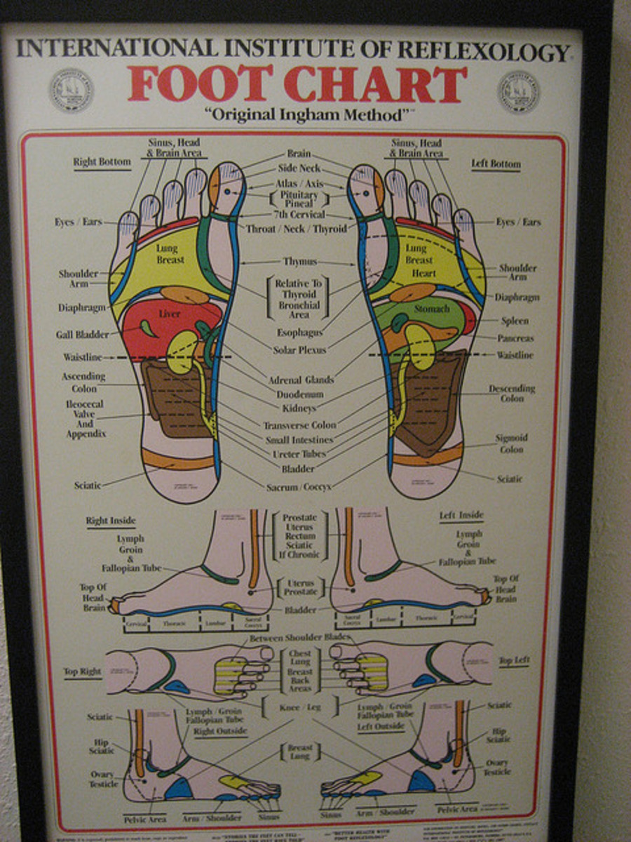 Reflexology and fertility - HubPages