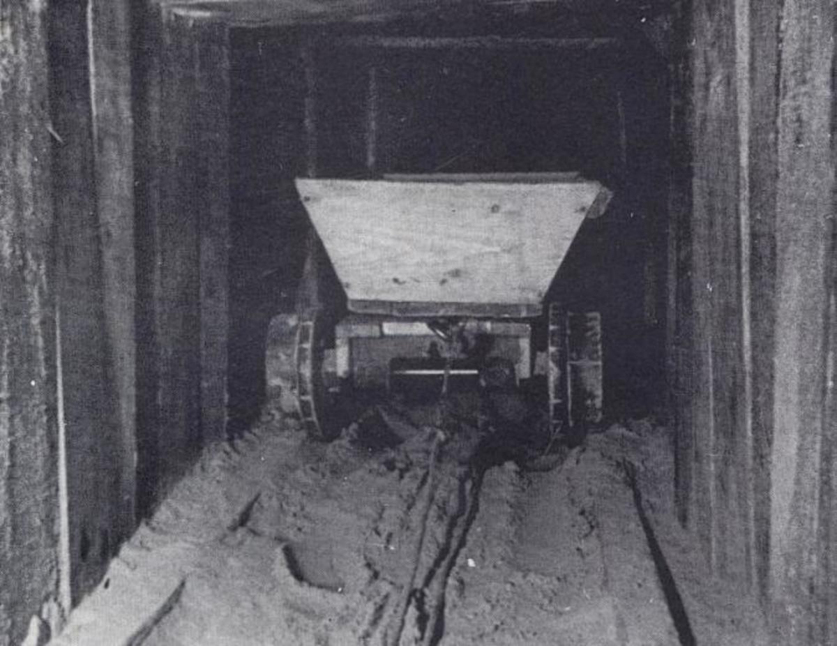 Heritage - 13: Roger Bushell, 'Big X', His Role in the Real Great ...