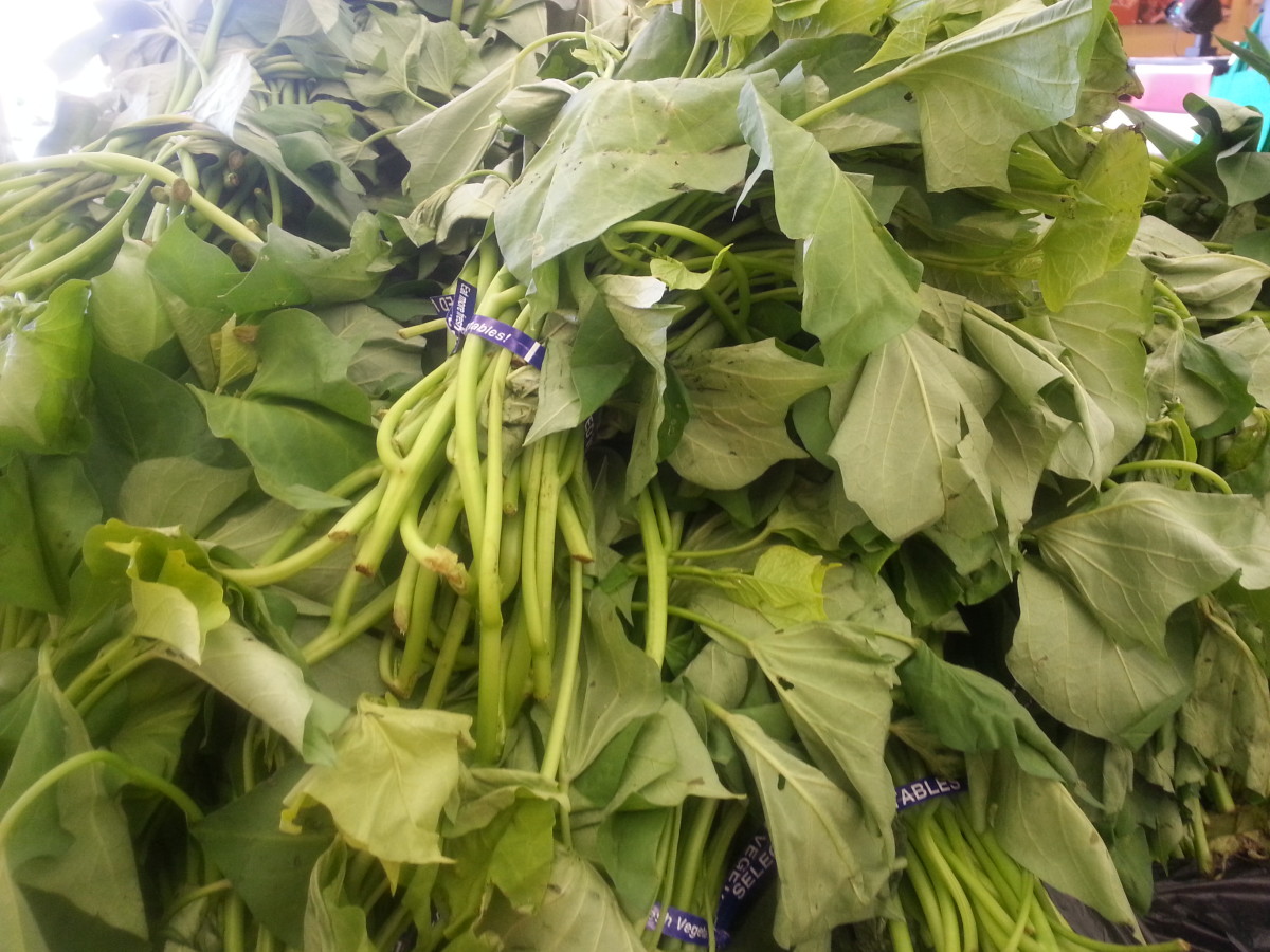 Camote or Sweet Potato: Photos, Cooking, and Health Benefits - HubPages