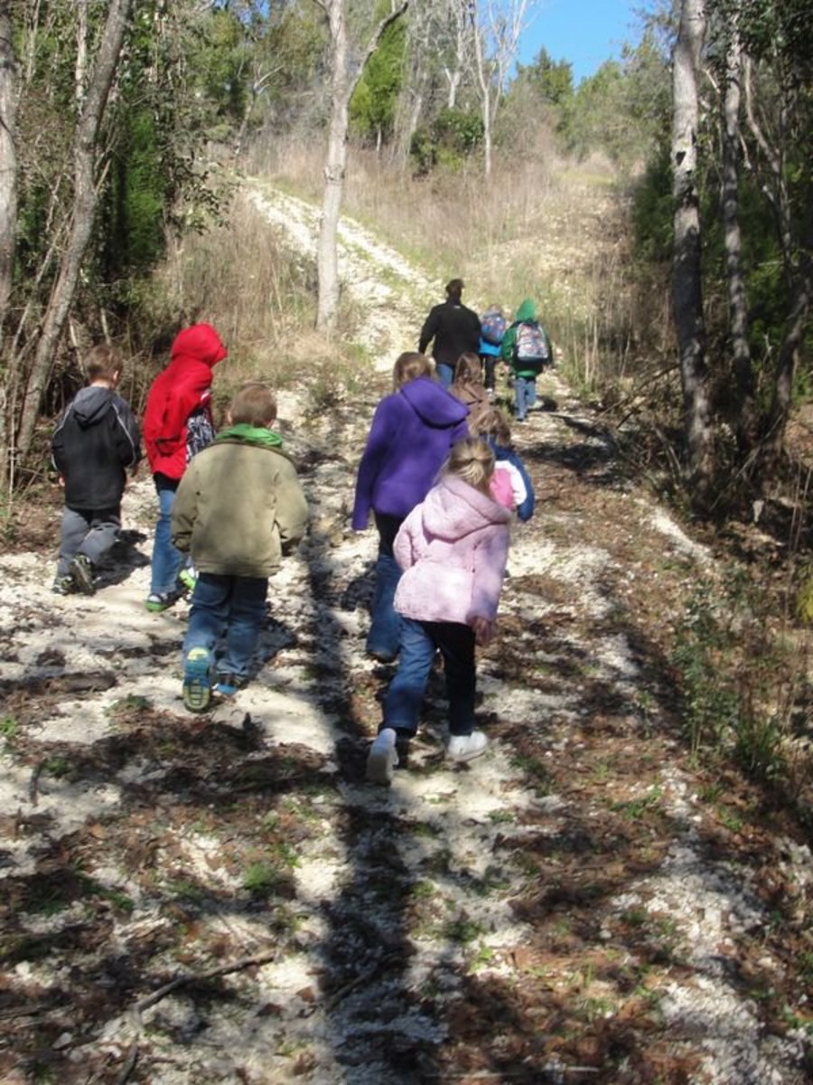 To Mount Everest and Beyond: A Lesson on Mountains & Mountain Climbing ...