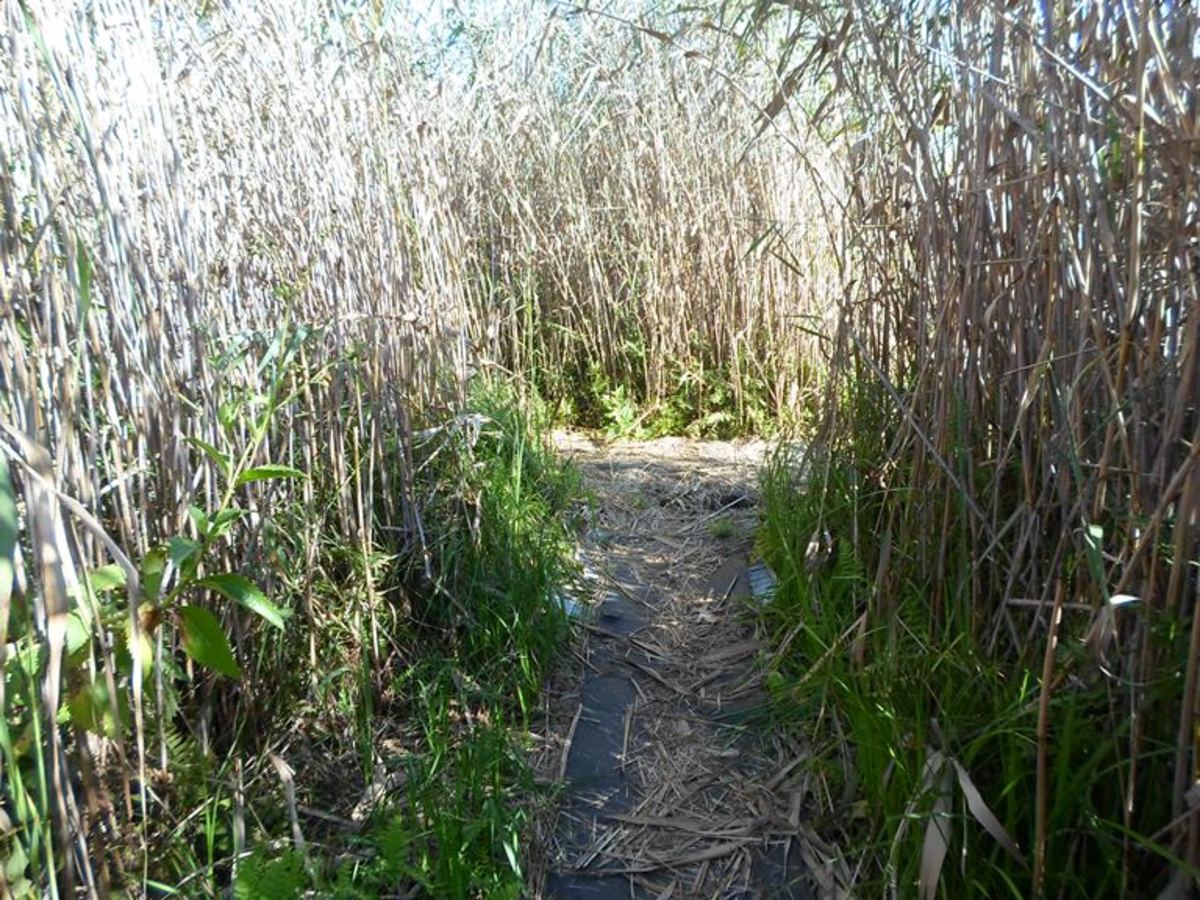 The Eye of the Groot Marico River, South Africa - HubPages
