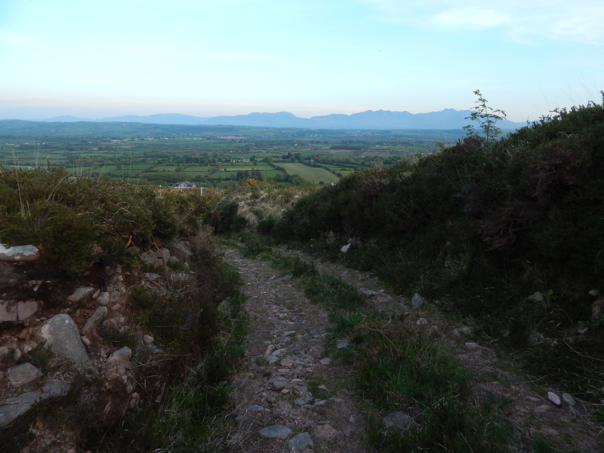 Curative Springs of Ireland - Gleann na nGealt, Valley of the Mad ...