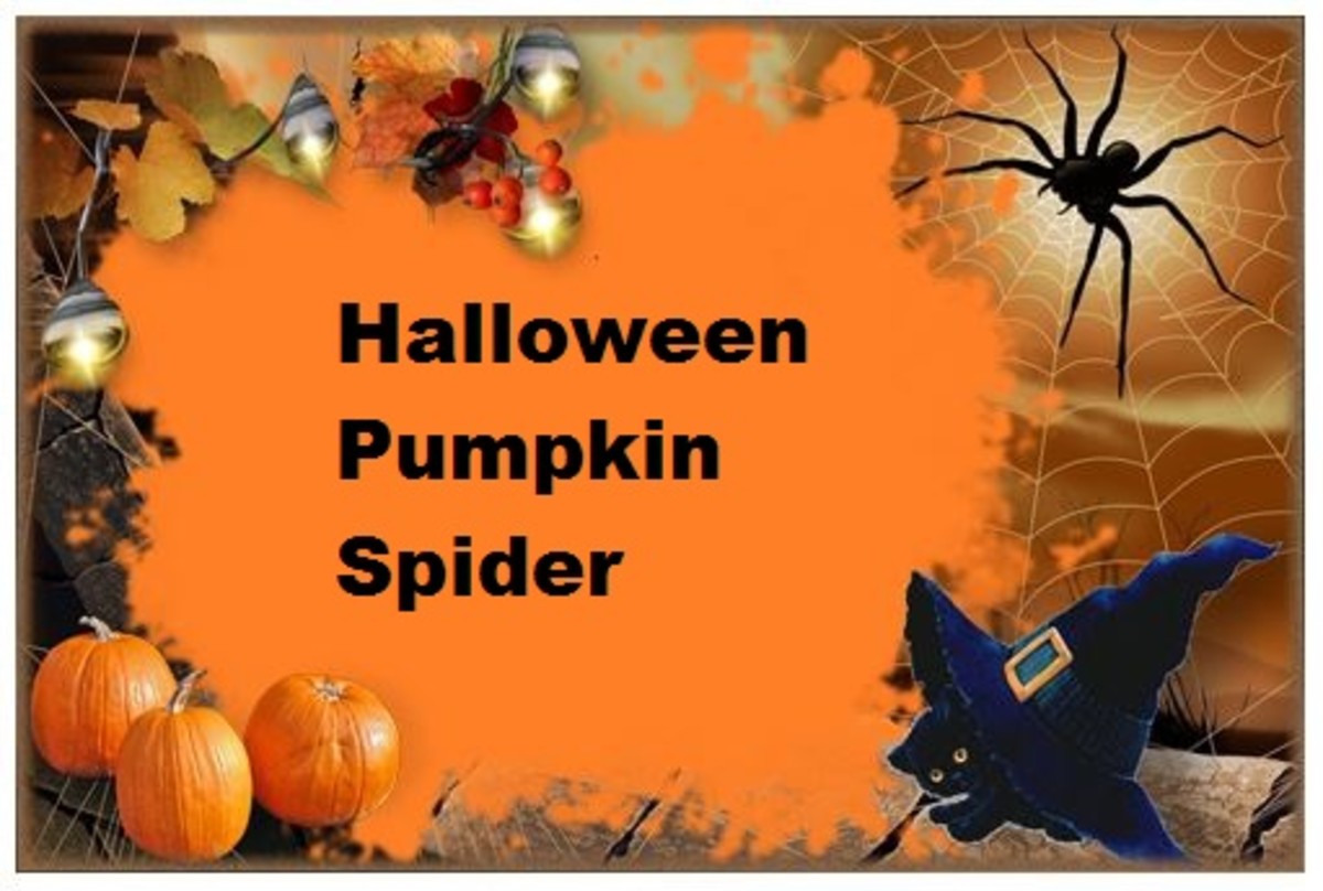 Real Spooky Orb Weaver Pumpkin Spiders - HubPages